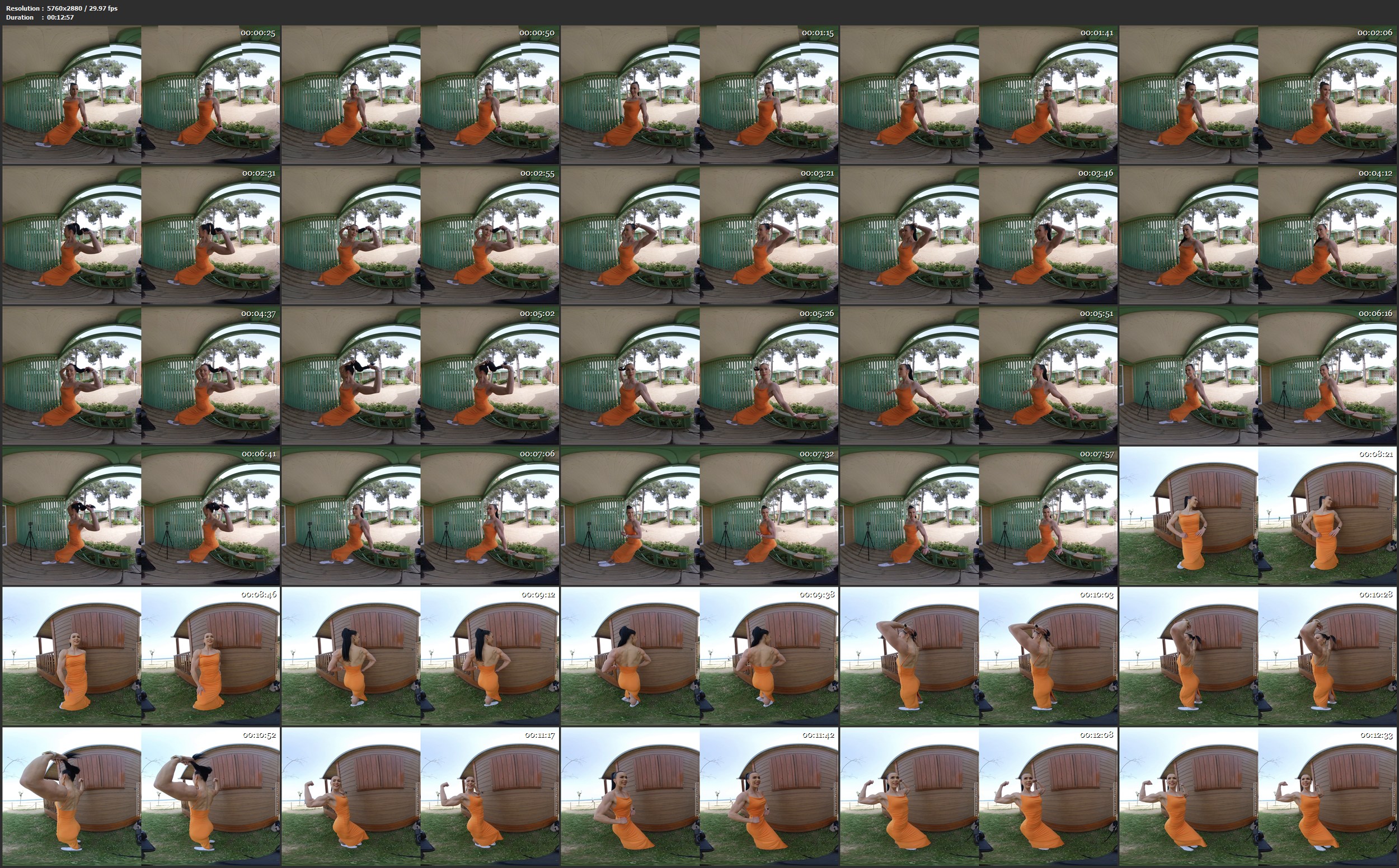 Henriikka 2025 VR — Zoltan Vegh Videos